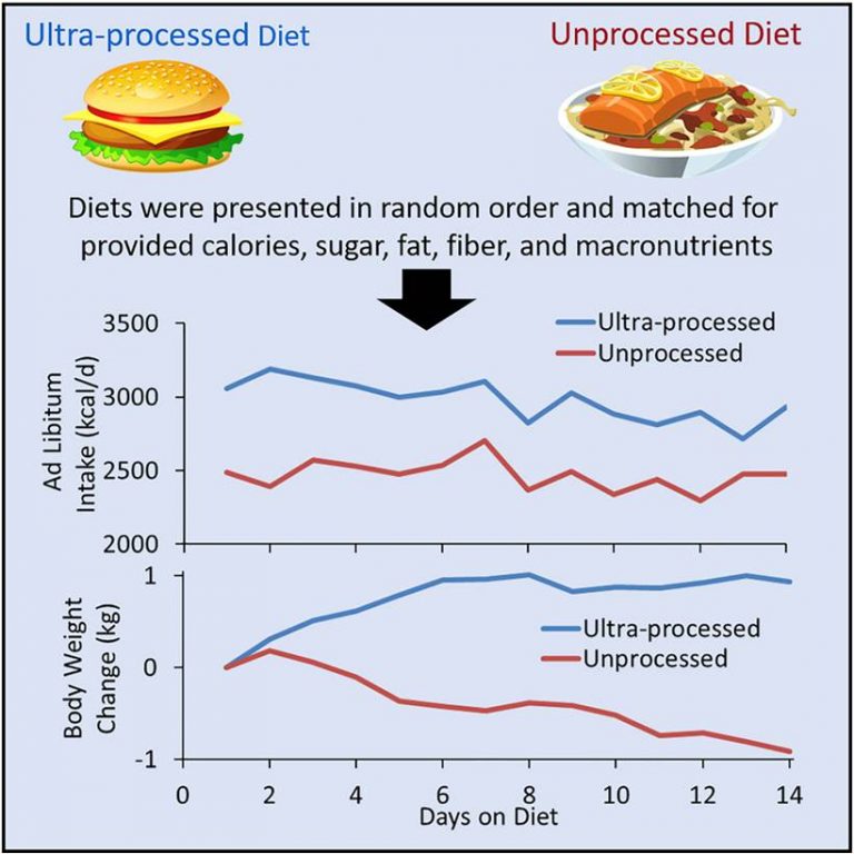 Dangers Of Ultra-Processed Food - Square Box Fitness Dangers Of Ultra-Processed Food - Square Box Fitness